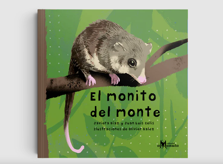 El monito del monte – Cocolilo